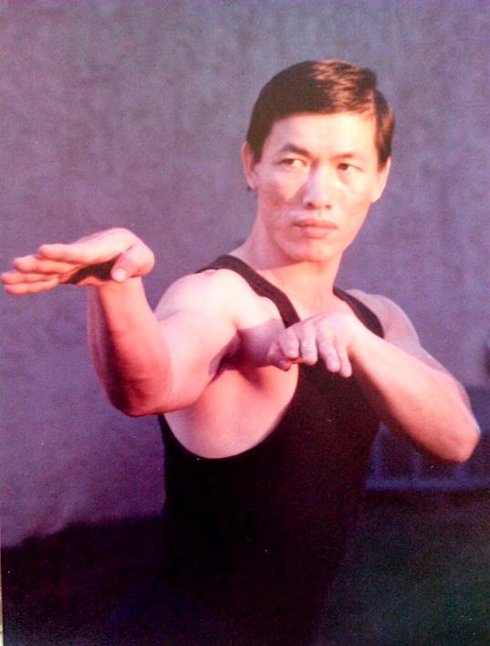 The Journey of Kung Fu – an interview with James Wu (吳長螢) | Shen Fa Society